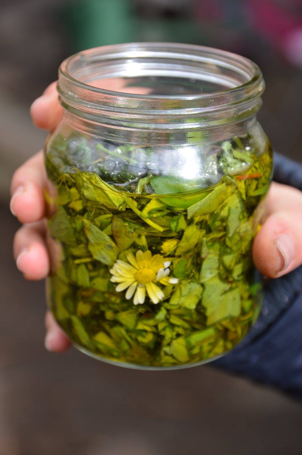 Rediscovering British herbs with Native Awareness